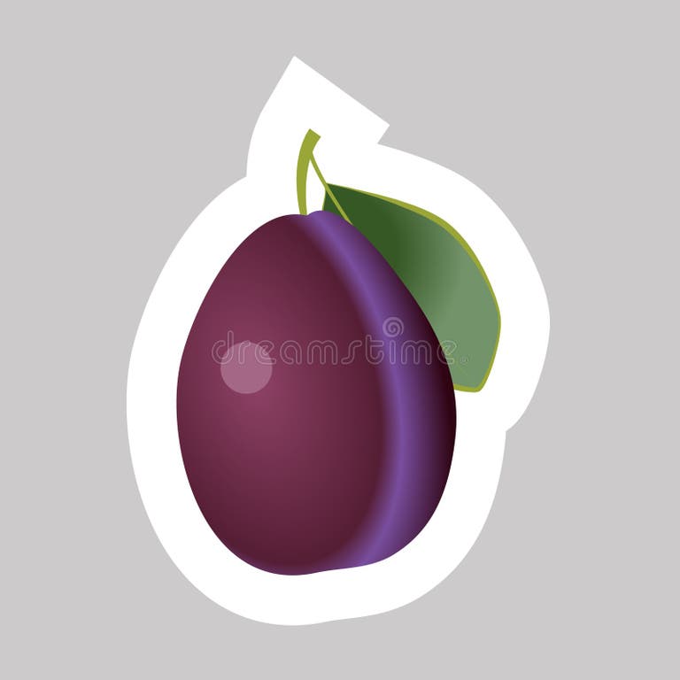 Vector Plum Icon stock vector. Illustration of freshness - 42276570