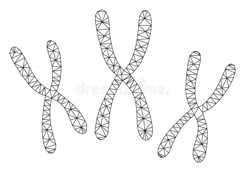 Cromosomas Ilustraciones Stock, Vectores, Y Clipart – (1,234 ...