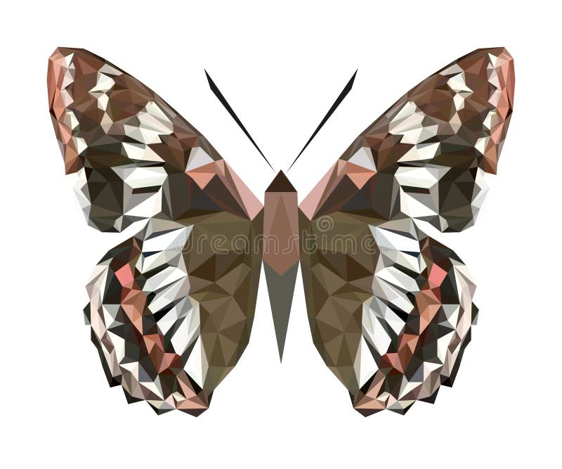 Low Poly Insect Illustration Stock Illustrations – 752 Low Poly Insect ...