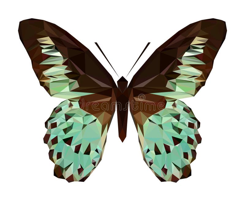 Vector Polygonal Colour Butterfly. Triangle Insect. Stock Illustration ...