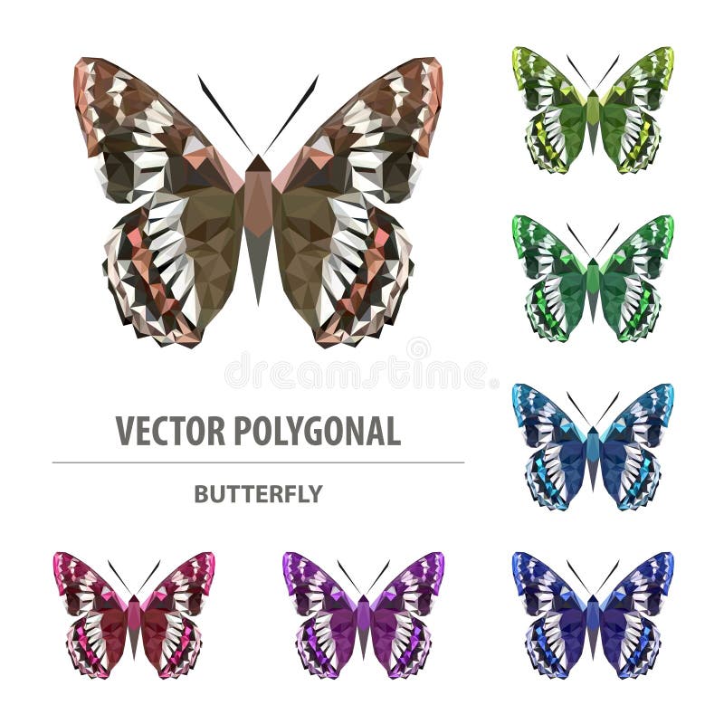 Polygonal Insect. Abstract Geometric Butterfly Illustration. Stock ...