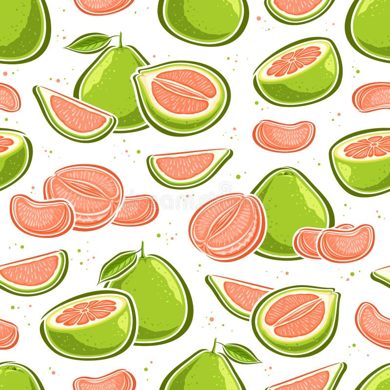 Vector Pomelo Seamless Pattern Stock Vector - Illustration of food ...