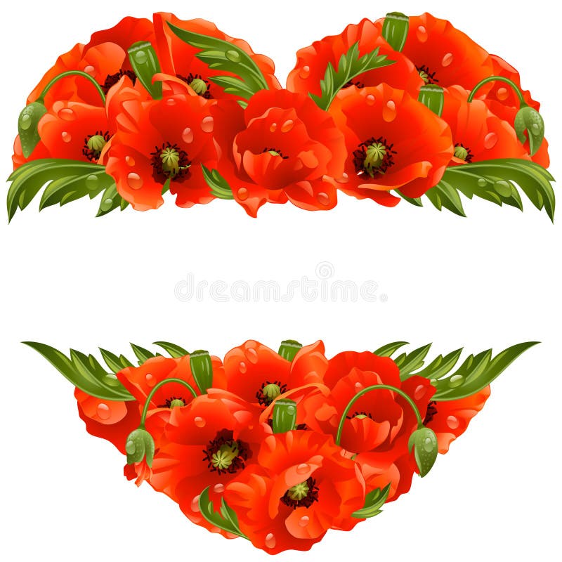 Red Poppy. Vector Seamless Horizontal Border Stock Vector ...