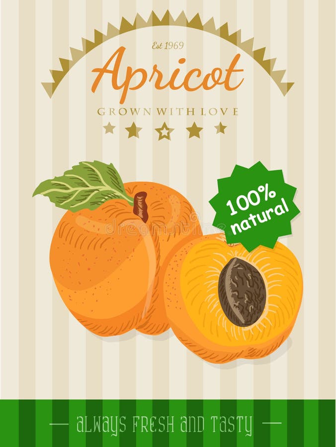 Vector Poster with a Apricot Stock Vector - Illustration of store ...