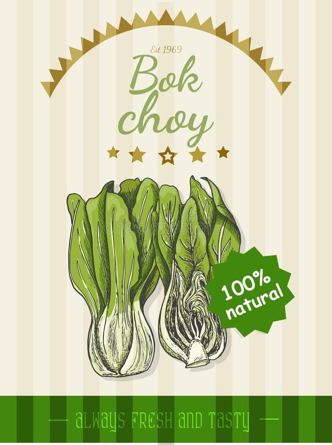 Vector Poster with a Bok Choy in a Sketch Style Stock Vector ...