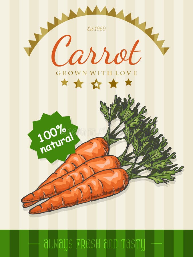 Vector Poster with a Carrots in a Sketch Style Stock Vector ...