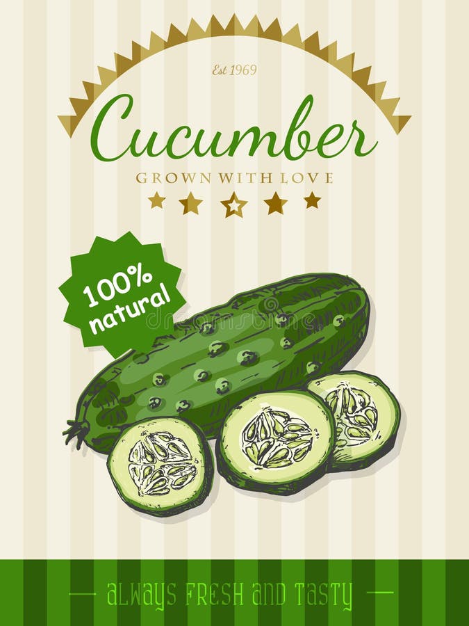 Vector Poster with a Cucumber in a Sketch Style Stock Vector ...
