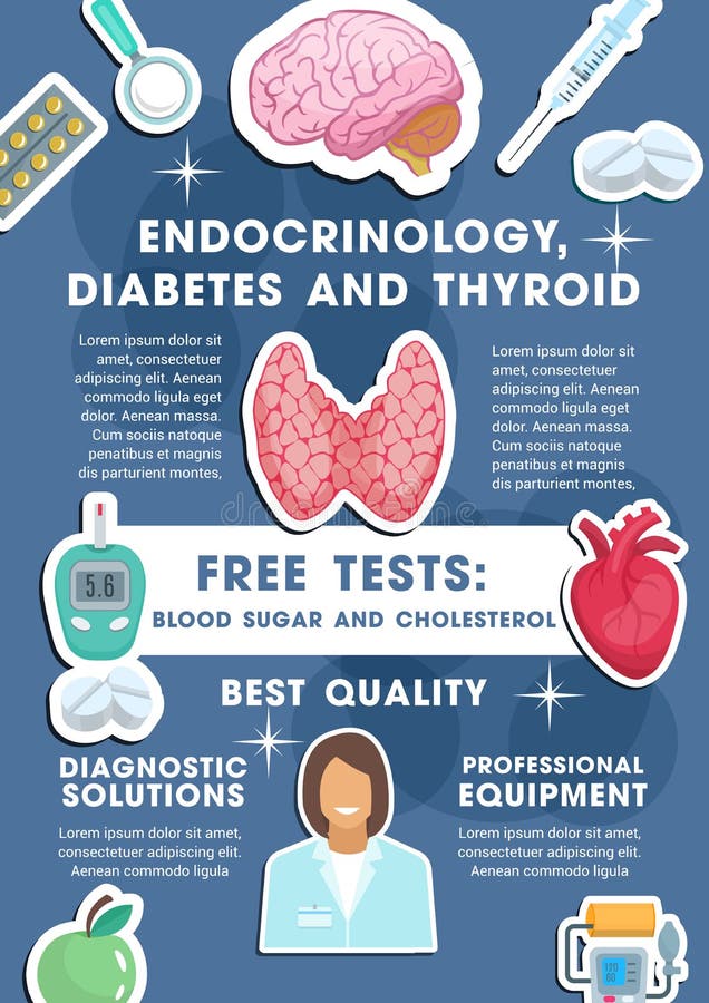 Endocrinology Medical Poster With Endocrine System Stock Vector