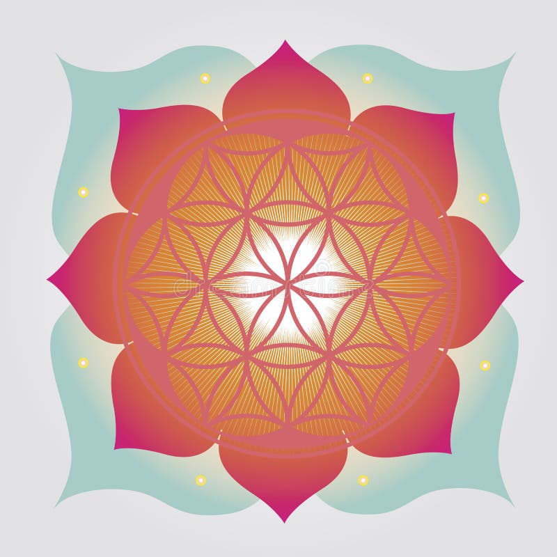 Flower of Life in Red Lotus Stock Vector - Illustration of astrological ...