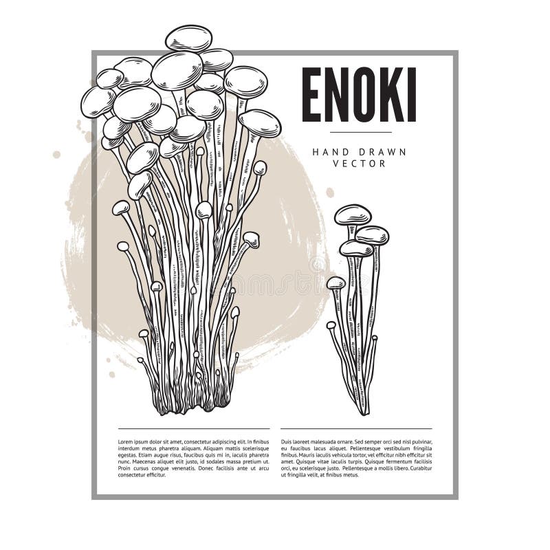 Vector Poster with Fresh Organic Enoki Mushrooms in the Form of a Hand ...