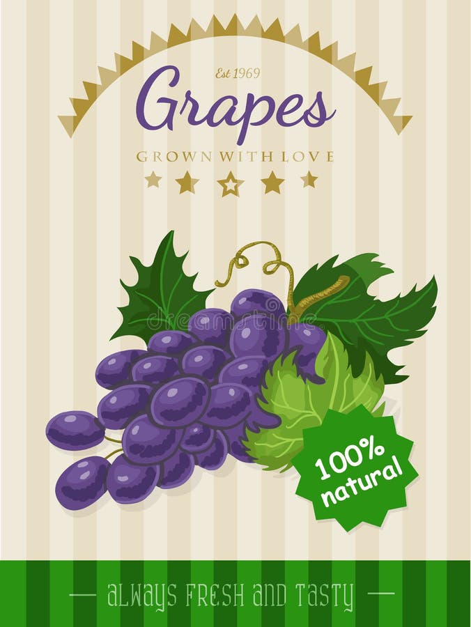 Vector Poster with a Grapes Stock Vector - Illustration of shop ...