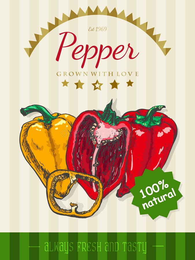 Vector Poster with a Peppers in a Sketch Style Stock Vector ...