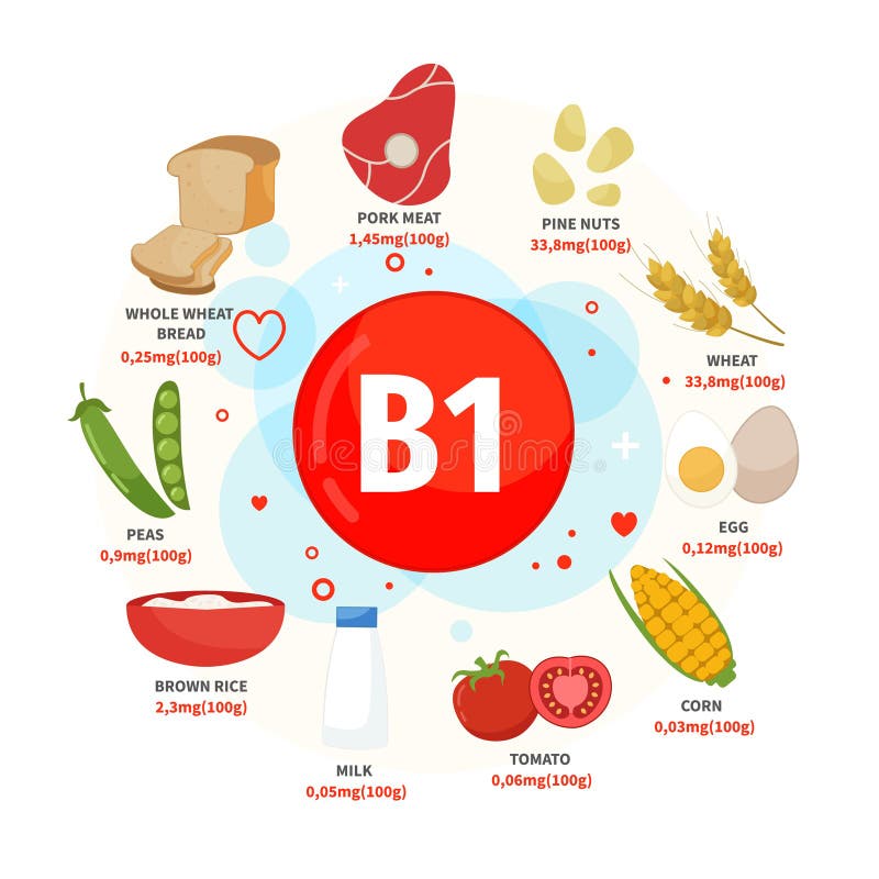 Vector Poster Products with Vitamin B1. Stock Vector - Illustration of ...
