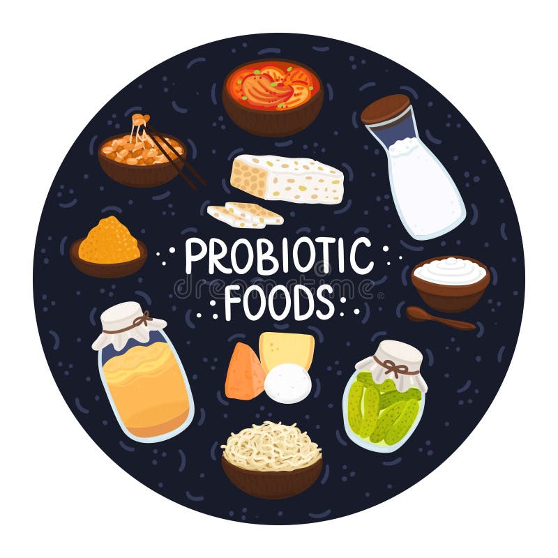 Vector Probiotic Foods Best Sources Of Probiotics Beneficial Bacteria