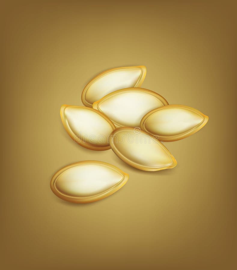 Pumpkin and Seeds Realistic Isolated. Vector Illustration of Food. Hand ...