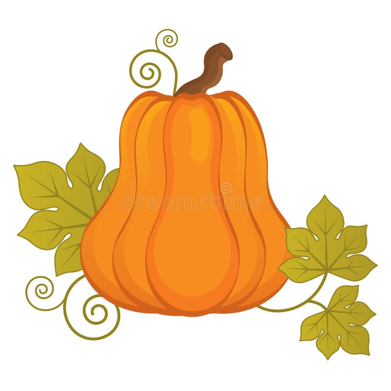 Vector Pumpkin. Vector Halloween and Thanksgiving Day. Pumpkin Vector ...