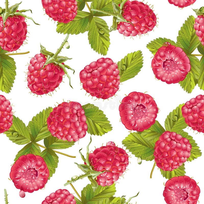Watercolor Background with Cherry, Raspberry and Leaves. Seamless ...