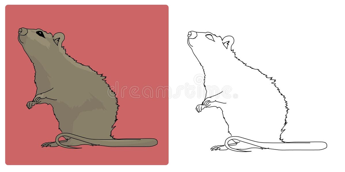 Lady Mouse Stock Illustrations – 838 Lady Mouse Stock Illustrations ...