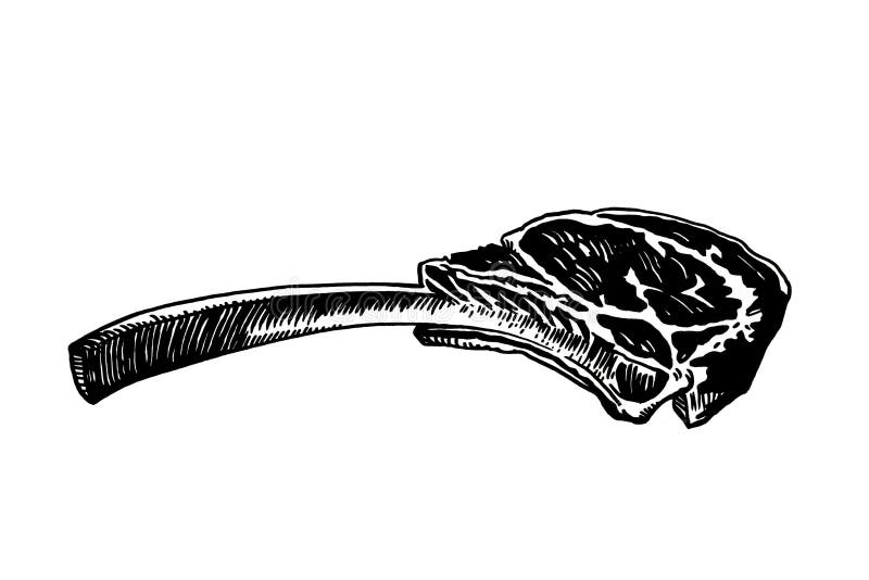 Vector Raw Steak Isolated on White , Meat Illustration, Food Element ...