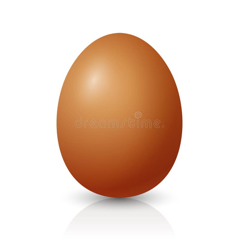 Vector Realistic Brown Chicken Egg Icon Closeup Isolated. Glossy ...