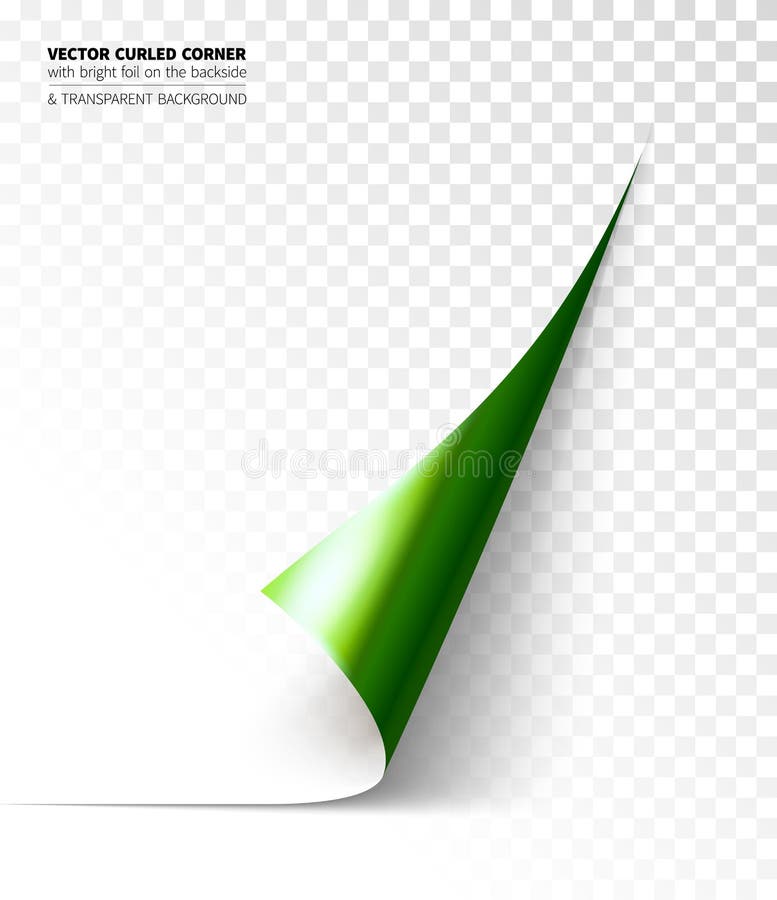 Vector Realistic Curled Corner Stock Vector - Illustration of design ...
