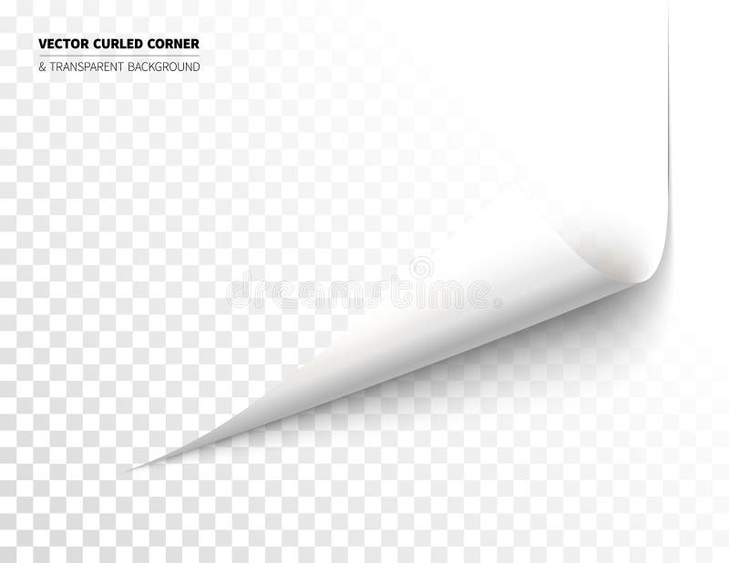 Vector Realistic Curled Corner Stock Vector - Illustration of corner ...
