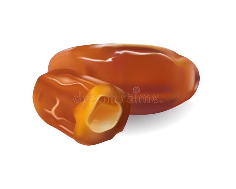 Dates fruit drawing sketch stock vector. Illustration of drawn - 281673013