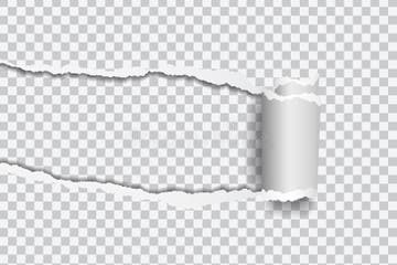 Torn Paper Rolled Edge Edge Stock Illustrations – 968 Torn Paper Rolled ...