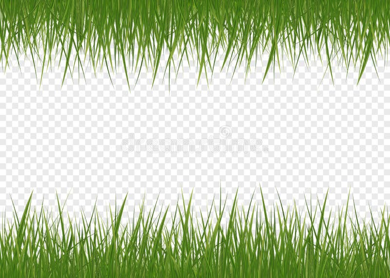 Realistic green grass stock vector. Illustration of carpet - 174046372
