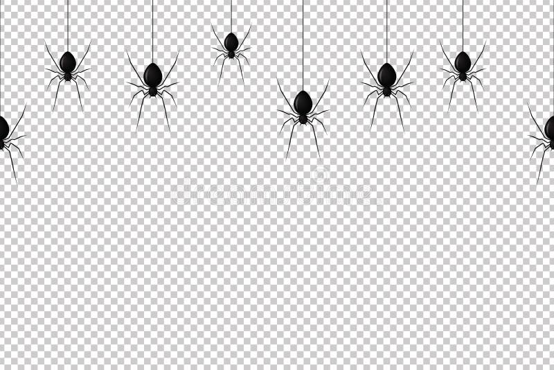 Halloween Spiders Transparent Background Stock Illustrations – 142 ...