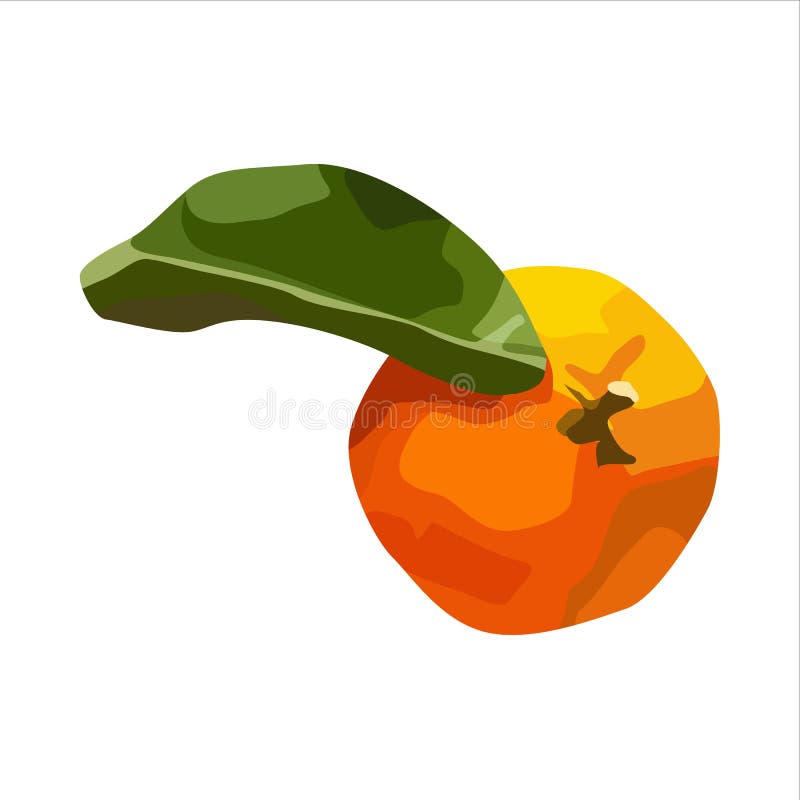 Vector realistic orange stock vector. Illustration of health - 236732898
