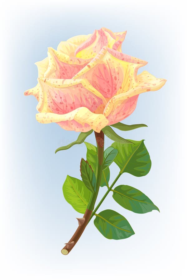 Vector Realistic Rose Flower Art Stock Vector - Illustration of element ...