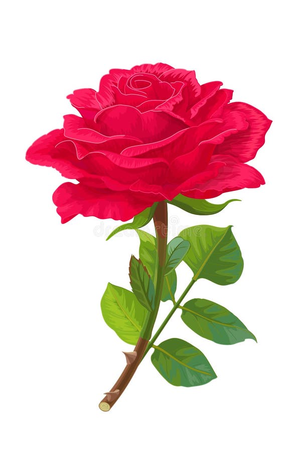 Vector Realistic Rose Flower Art Stock Vector - Illustration of icon ...