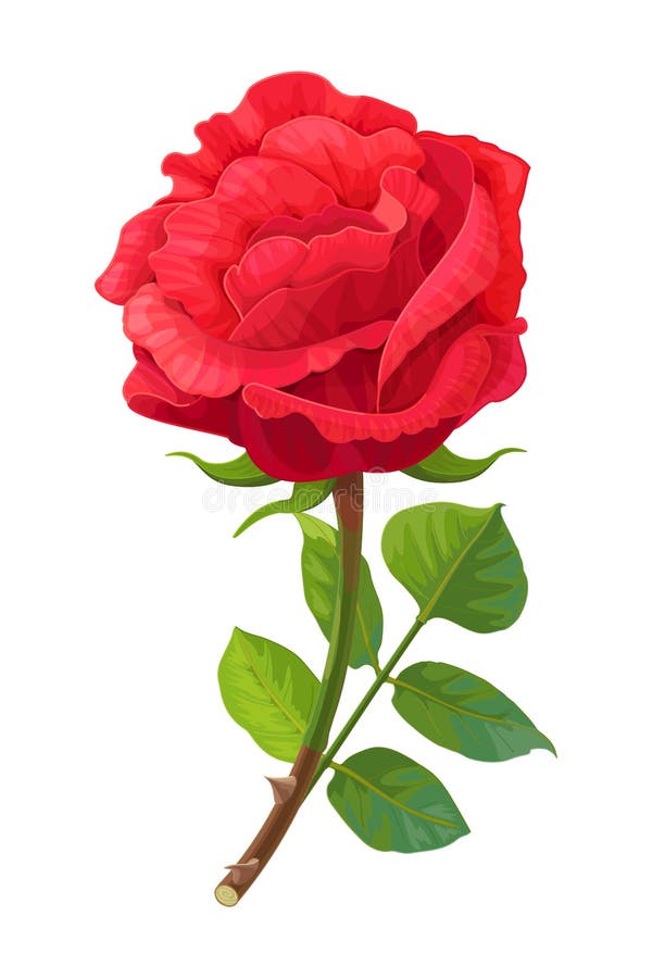 Vector Realistic Rose Flower Art Stock Vector - Illustration of element ...