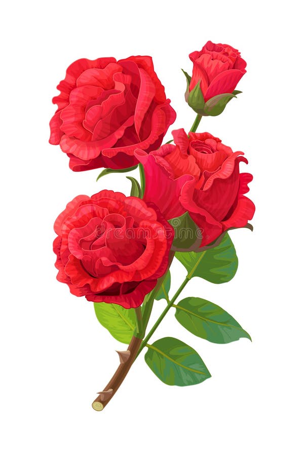 Vector Realistic Rose Flower Art Stock Illustration - Illustration of ...