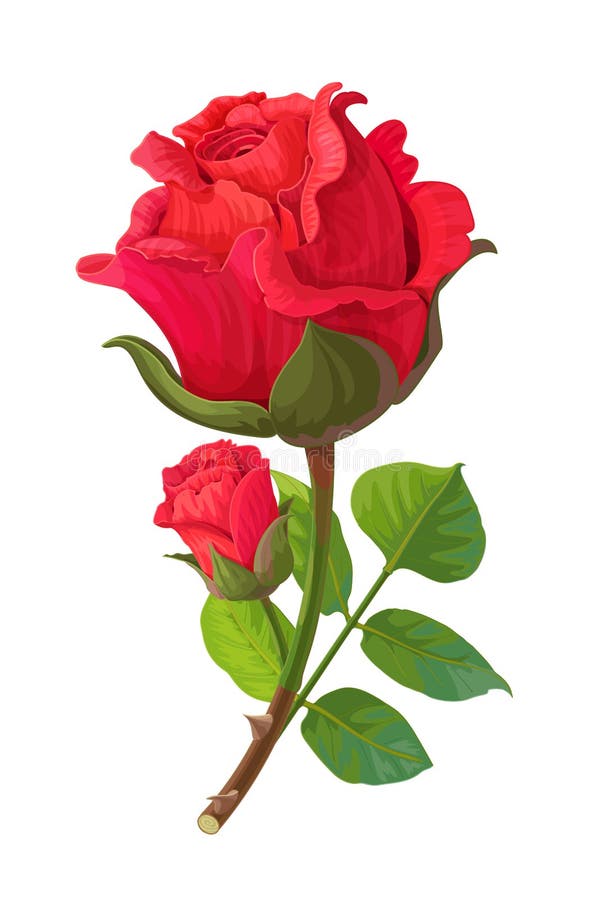 Vector Realistic Rose Flower Art Stock Illustration - Illustration of ...