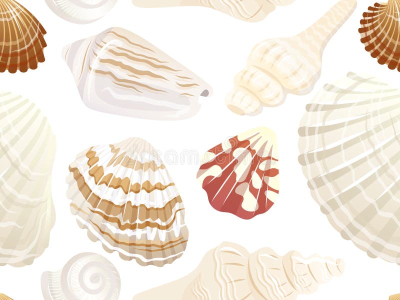 Realistic Sea Shells Stock Illustrations – 829 Realistic Sea Shells ...