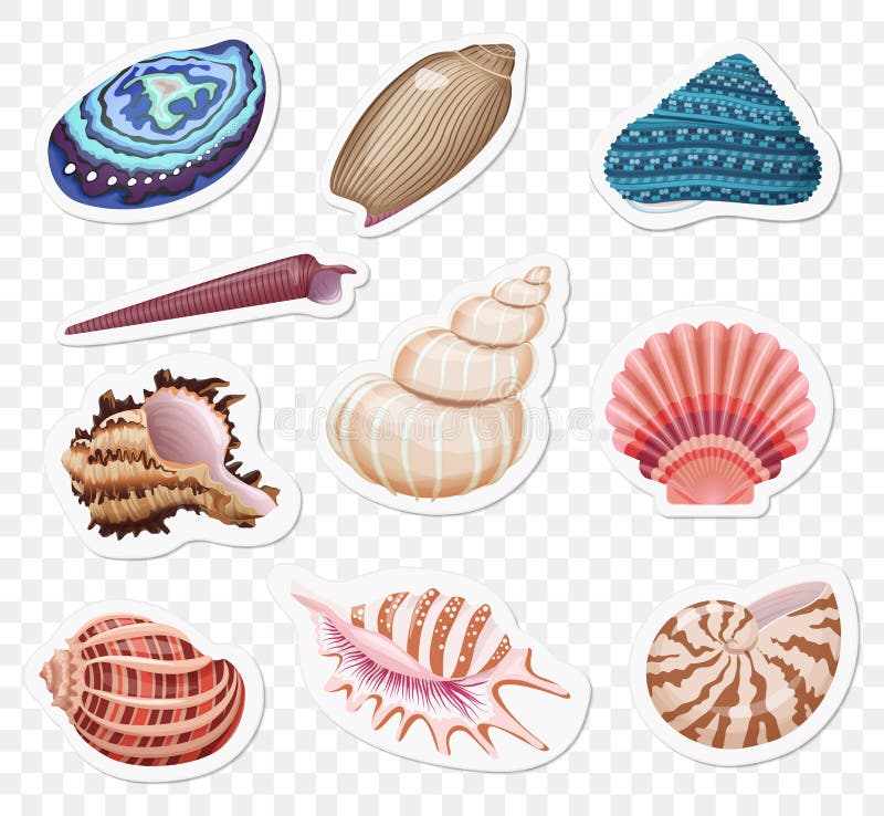 Vector Sea Shells. Seashell Silhouettes Set Isolated. Stock Vector ...