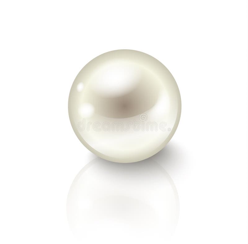 Vector Realistic Shiny Pearl with Shadow and Reflection Isolated Stock ...