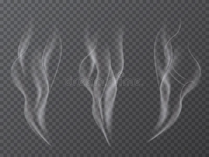 Vector Realistic Smoke Effect Set Isolated on Transparent Background ...