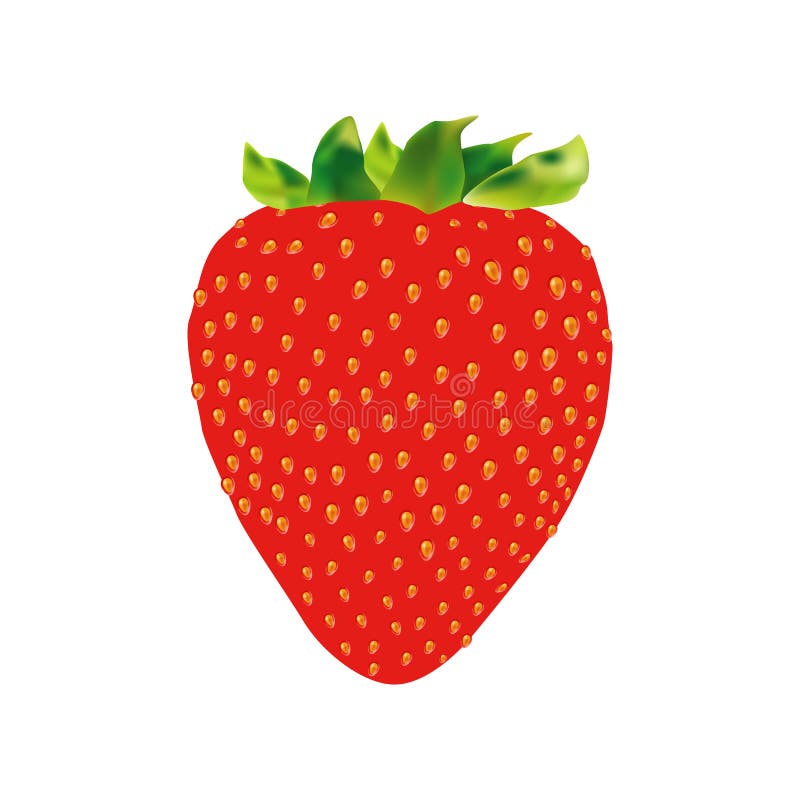 Vector Realistic Strawberry. Eps Vector Stock Vector - Illustration of ...