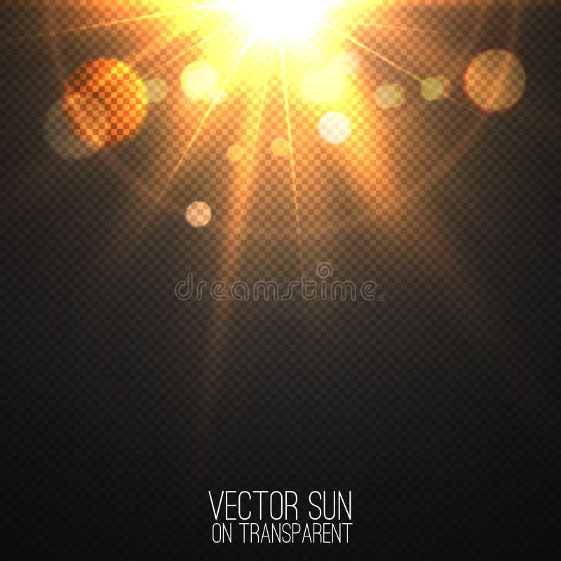 Vector Realistic Sun on Transparent . Stock Vector - Illustration of ...