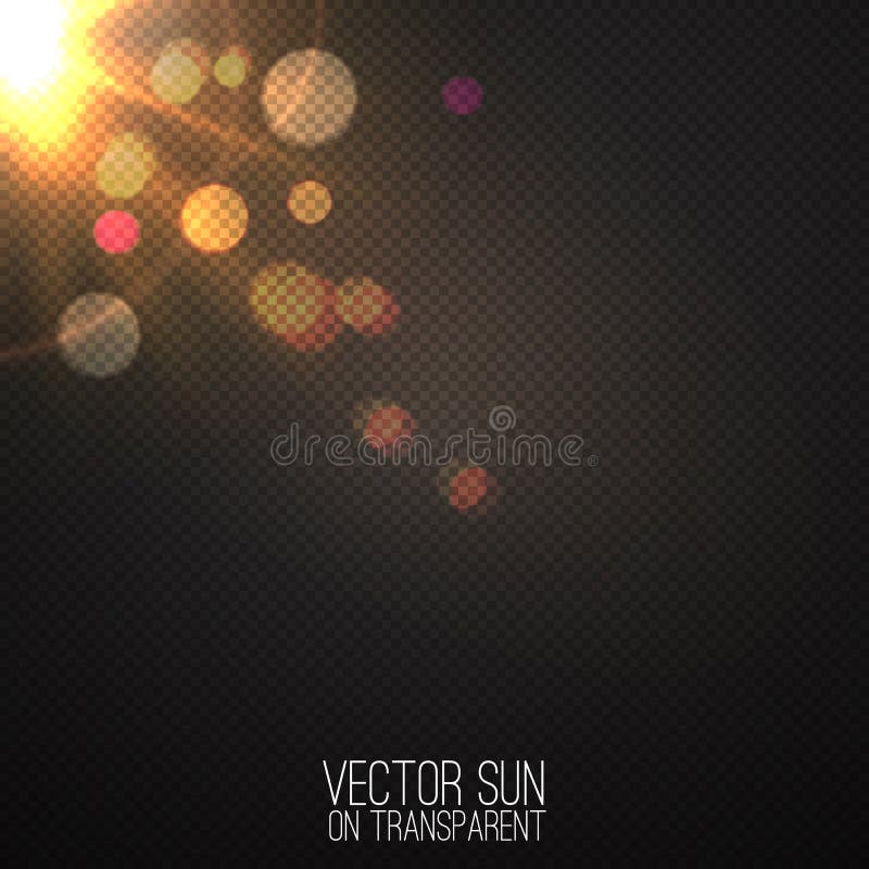 Vector Realistic Sun on Transparent . Stock Vector - Illustration of ...