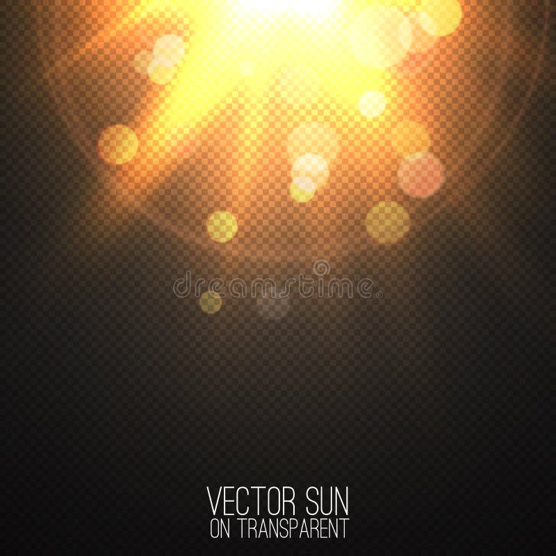 Vector Realistic Sun on Transparent . Stock Vector - Illustration of ...