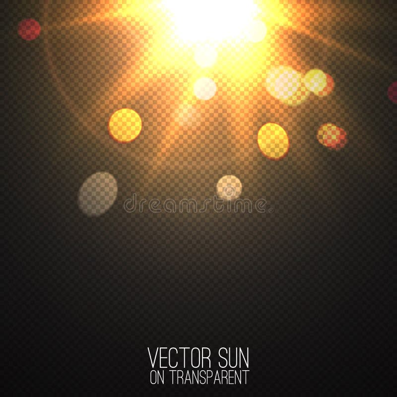 Vector Realistic Sun on Transparent . Stock Vector - Illustration of ...