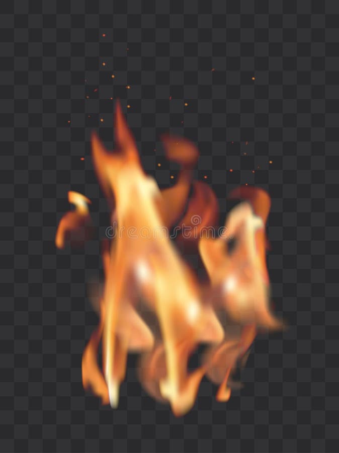 Vector Realistic Transparent Illustration of Burning Fire Flames Stock ...