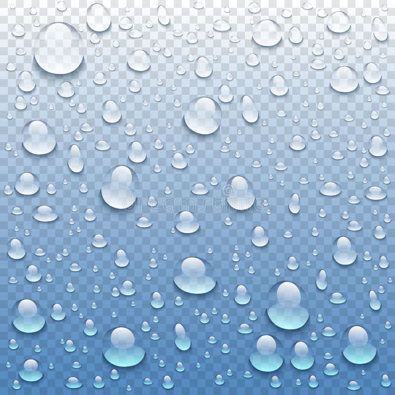 Vector Realistic Water Drops on Transparent Background. Rain Drops ...
