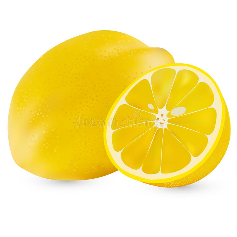 One Half Lemon Stock Illustrations – 1,240 One Half Lemon Stock ...