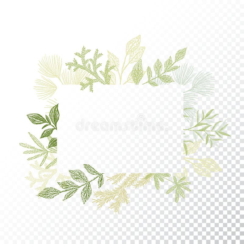 Vector Rectangular Del Marco, De Las Ramas Y De Las Hojas Ilustración ...