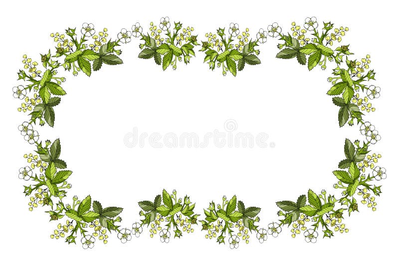 Vector Rectangular Horizontal Frame Seamless Pattern Floral Spring ...